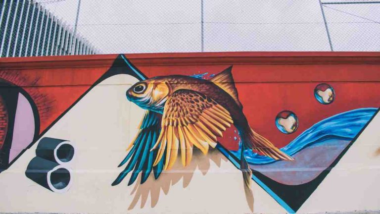 Yuk Kenalan Dengan Seni Art Graffiti - Ibu Digital